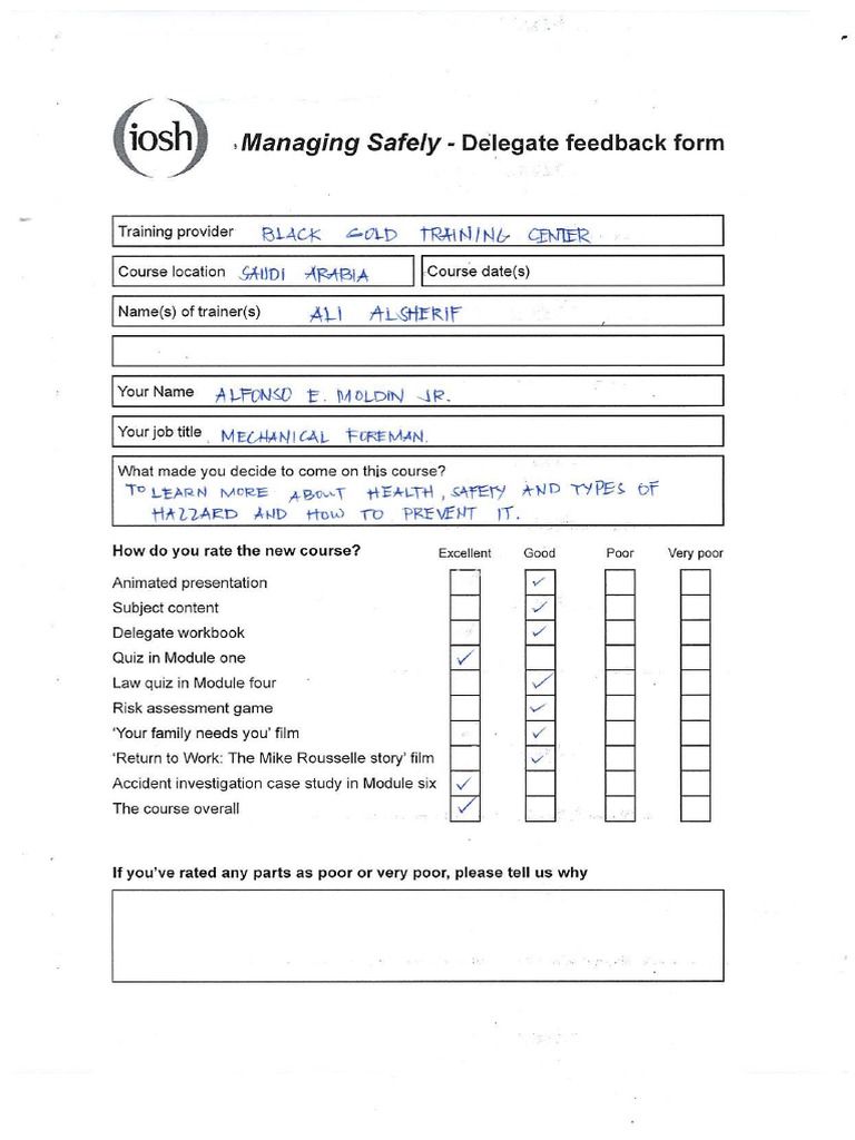 Alfonso Moldin - Managing Safety - Delegate Feedback Form | PDF