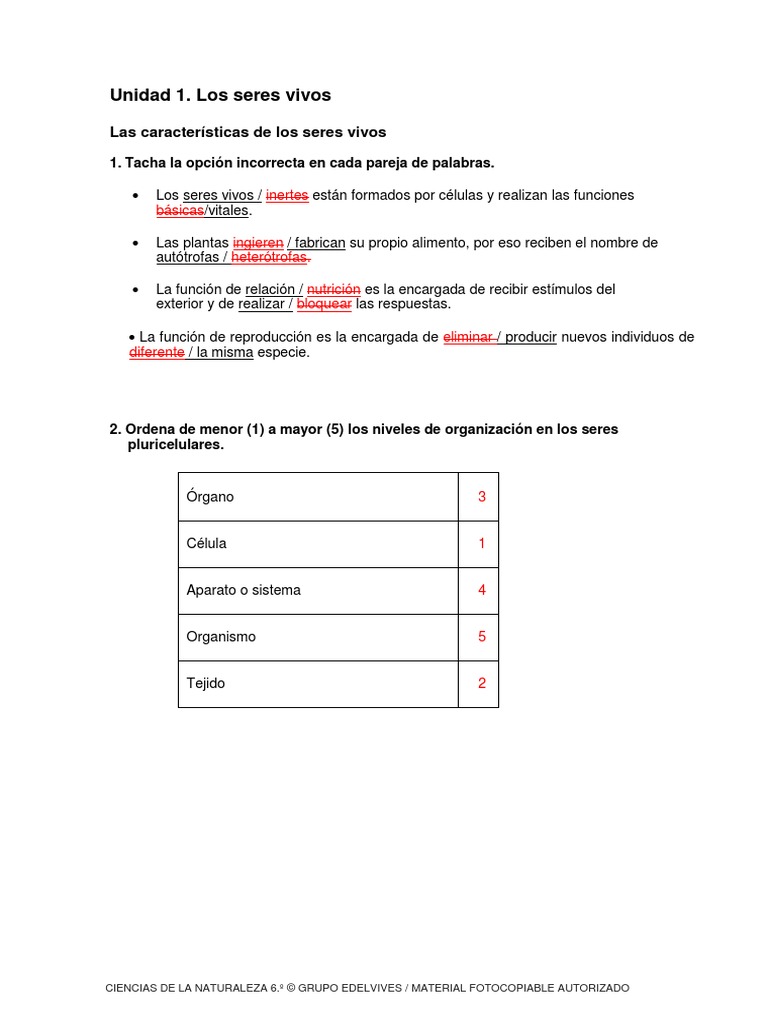 Solucionario CCNN | PDF