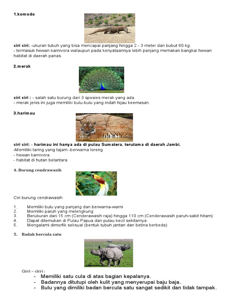 Hewan Dan Tumbuhan Langka | PDF