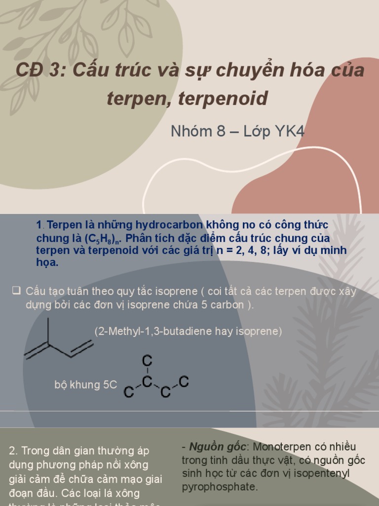 CĐ 3: Cấu trúc và sự chuyển hóa của terpen, terpenoid: Nhóm 8 - Lớp YK4 ...