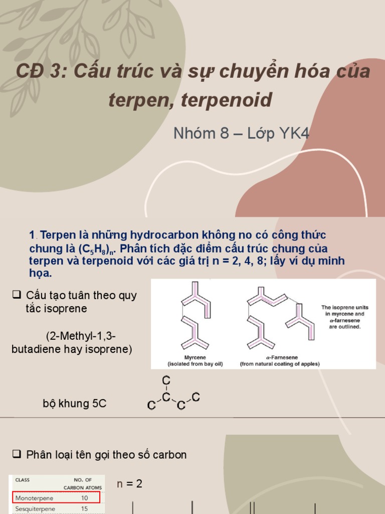 CĐ 3: Cấu trúc và sự chuyển hóa của terpen, terpenoid: Nhóm 8 - Lớp YK4 ...