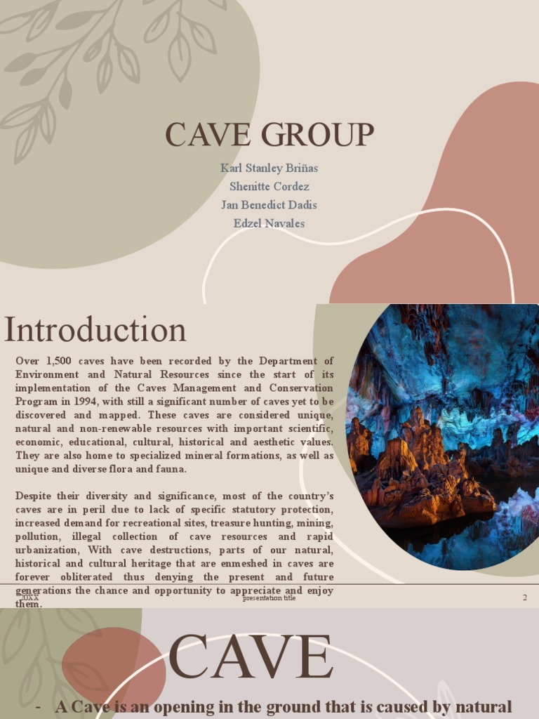 CAVE | Download Free PDF | Cave | Ecosystem