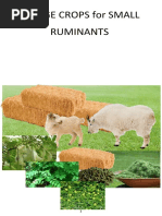 ITERS Materials Checklist | PDF | Toys | Dolls