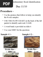 Tree Identification Key Printable: Click Here To Download | PDF ...