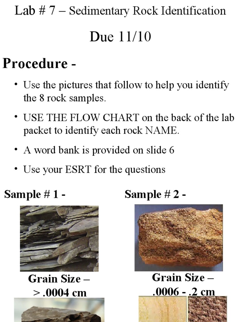 Sedimentary Rock Lab Classnotes | PDF | Clastic Rock | Sedimentary Rock