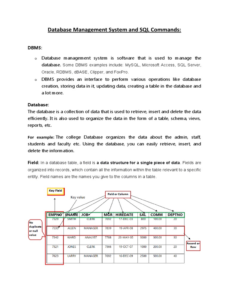 Database Management System and SQL Commands | PDF | Databases | Sql