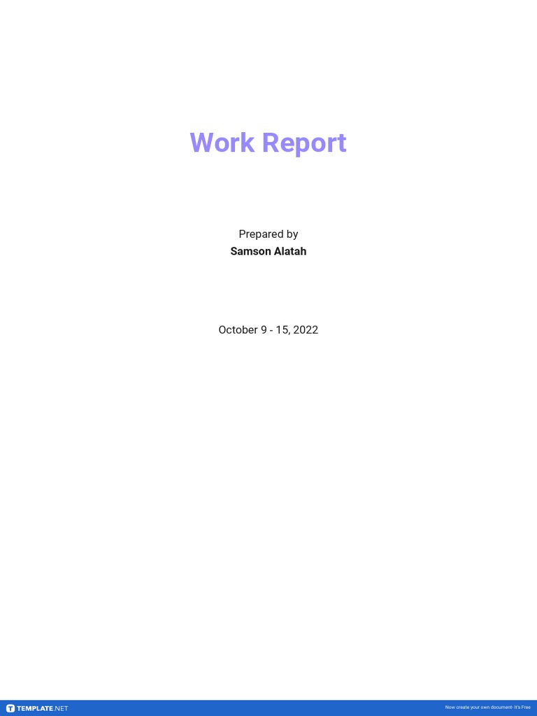 Work Report Alata | PDF