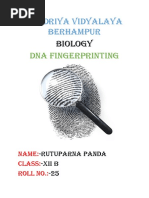 Class 12th Chemistry Project On Investigatory Test On Guava | PDF ...