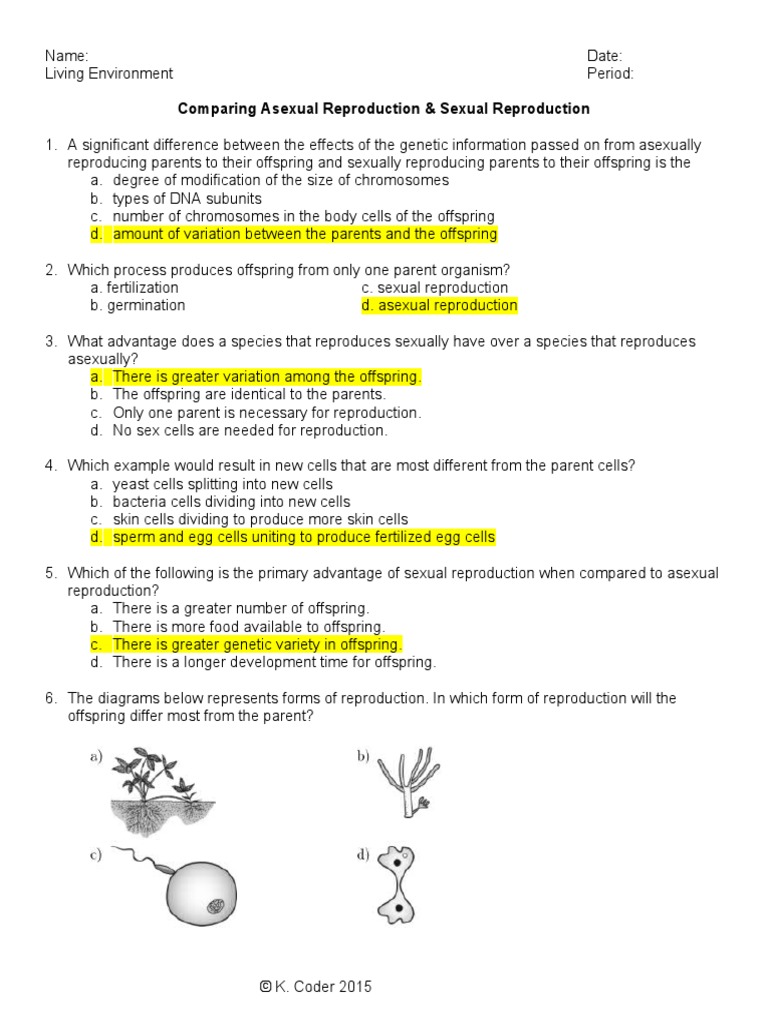 WS Comparing Asexual and Sexual Reproduction | PDF | Reproduction ...