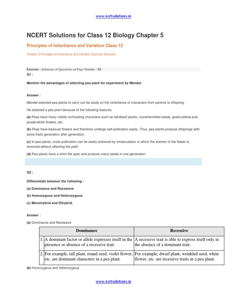 Chemistry Class 12 Chemical Kinetics Project | PDF | Dominance ...