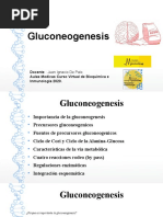 Hiperlactatemia: Causas y Tratamiento | PDF | Ácido láctico | Fisiología