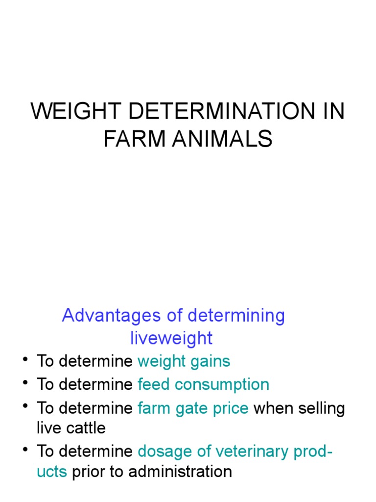 ANIMAL SCIE ... 9. Live Weight Determination | PDF | Pig | Meat