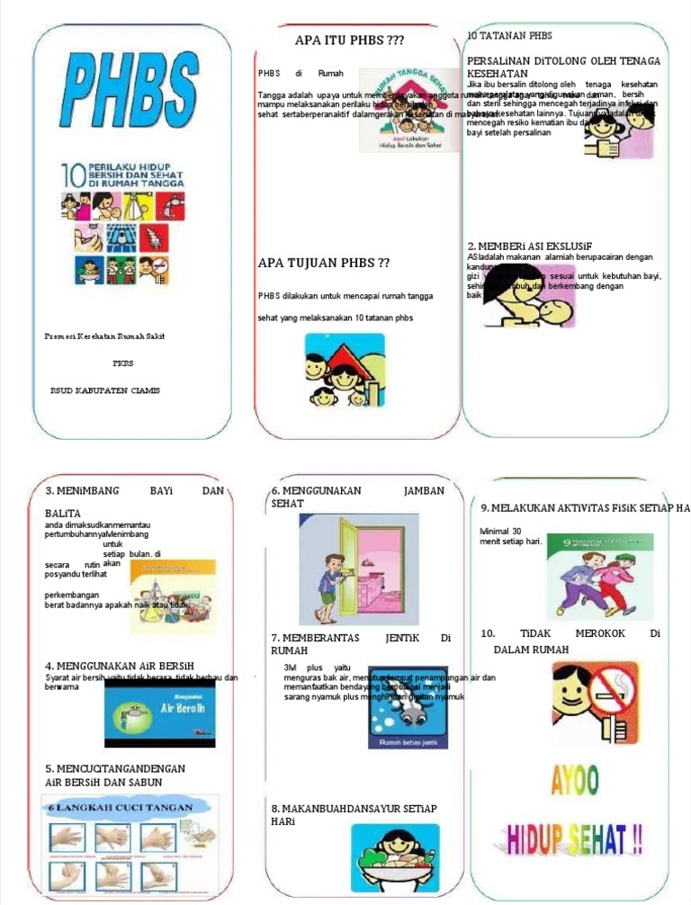 PDF Leaflet Phbs | PDF