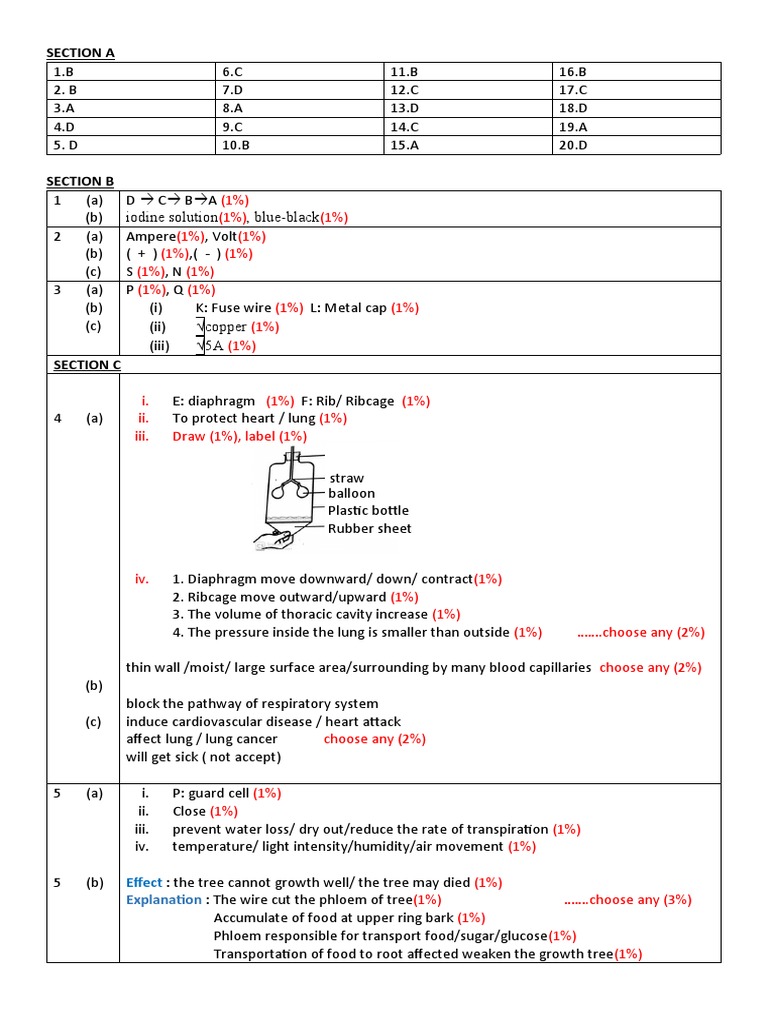 Science Answer 2019 Pdf