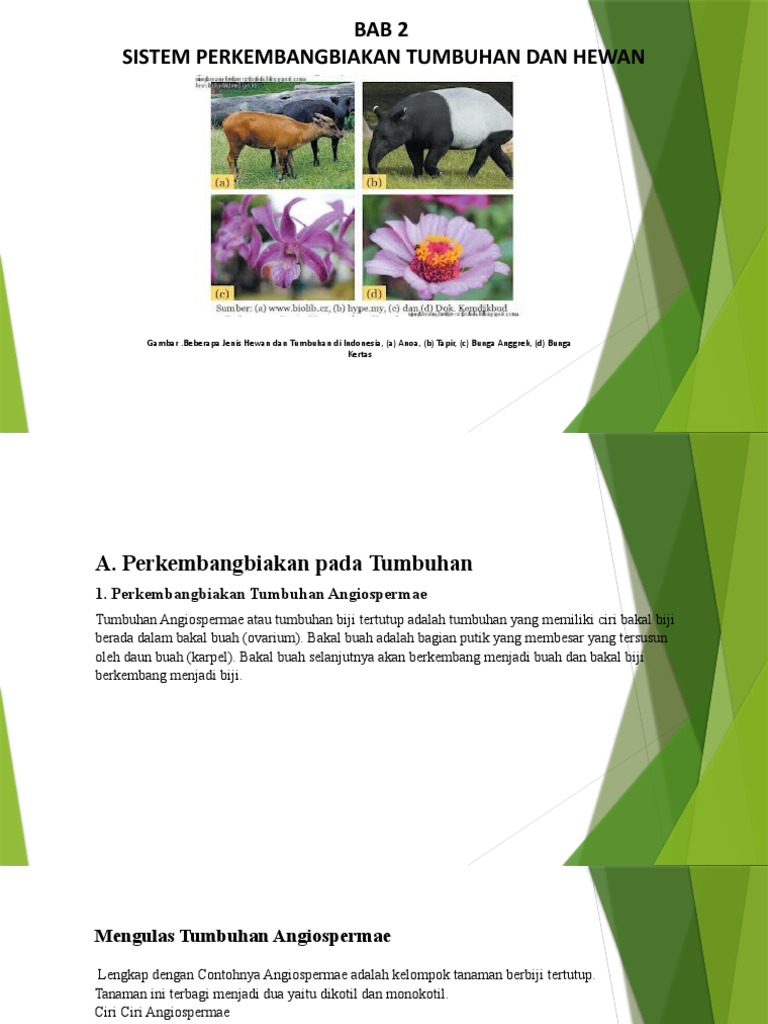 Sistem Perkembangbiakan Tumbuhan Dan Hewan | PDF | Kesehatan Holistik | Sains & Matematika