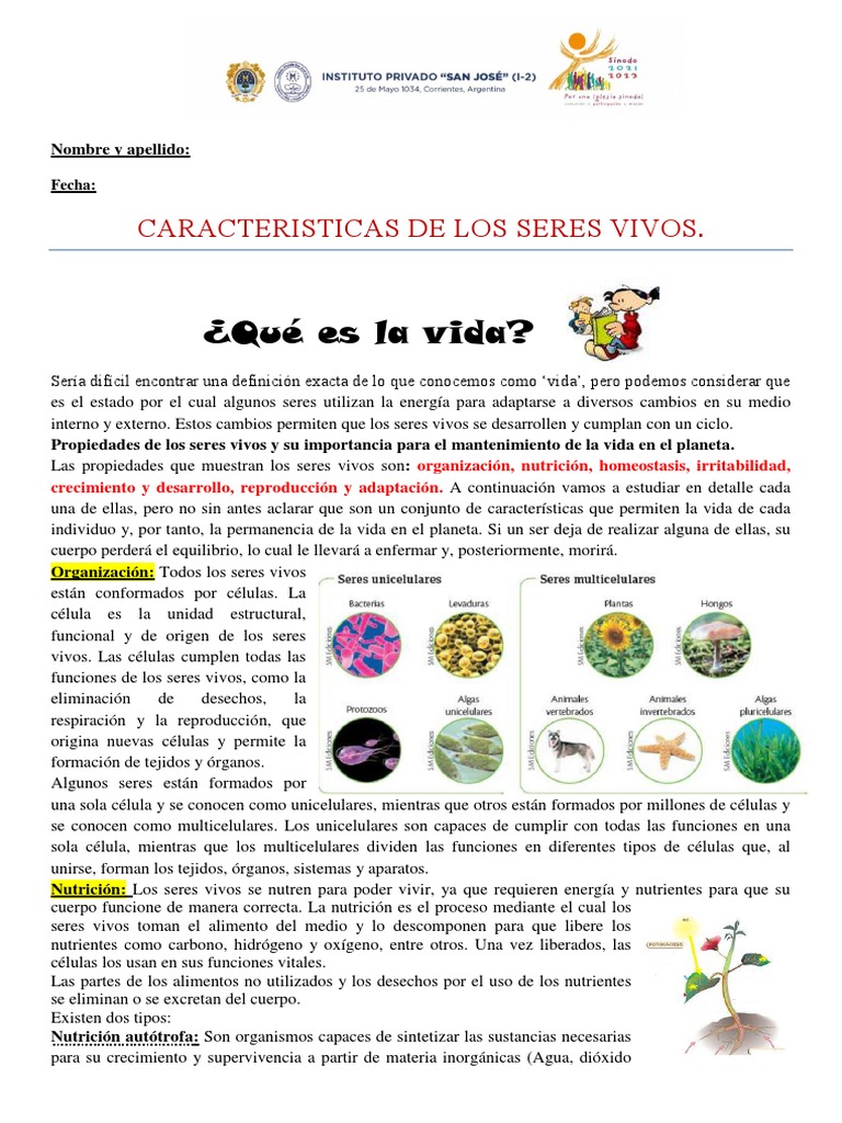 Características de los Seres Vivos | PDF | Nutrientes | Organismos