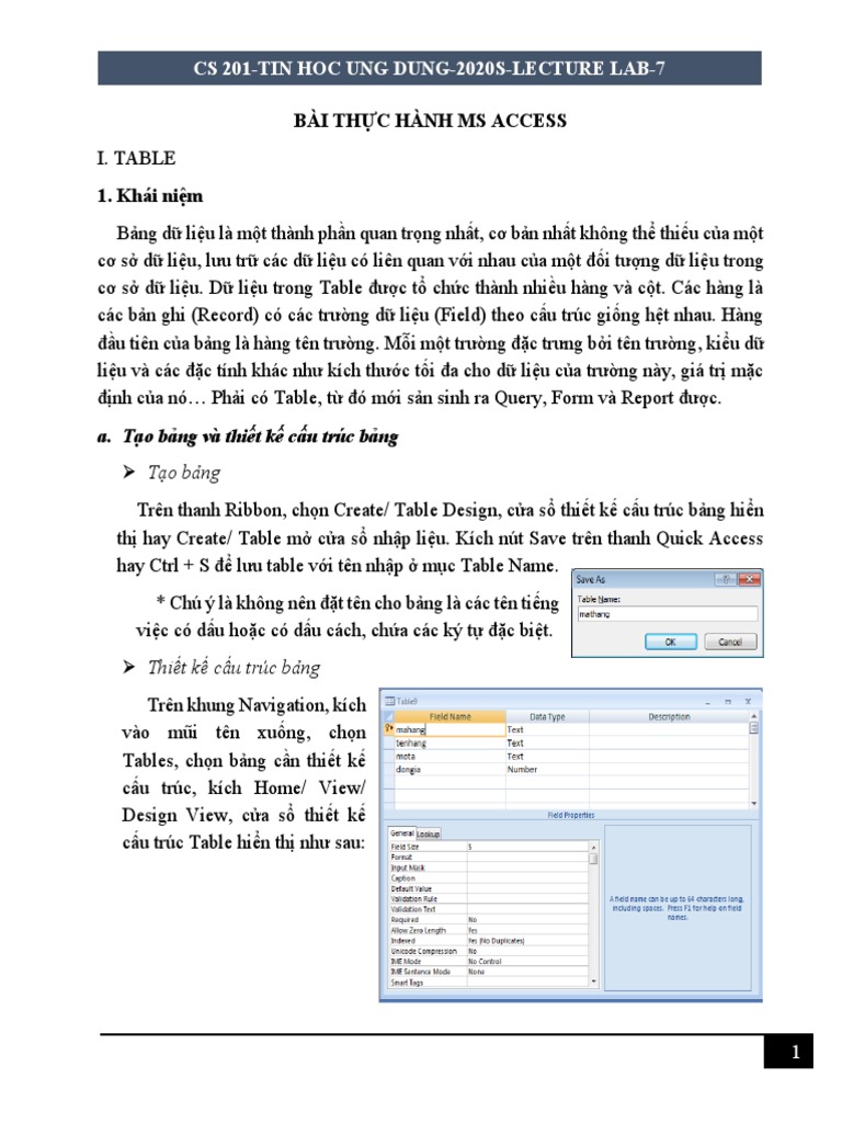 CS 201-Tin Hoc Ung Dung-2020S-Lecture LAB-7 | PDF