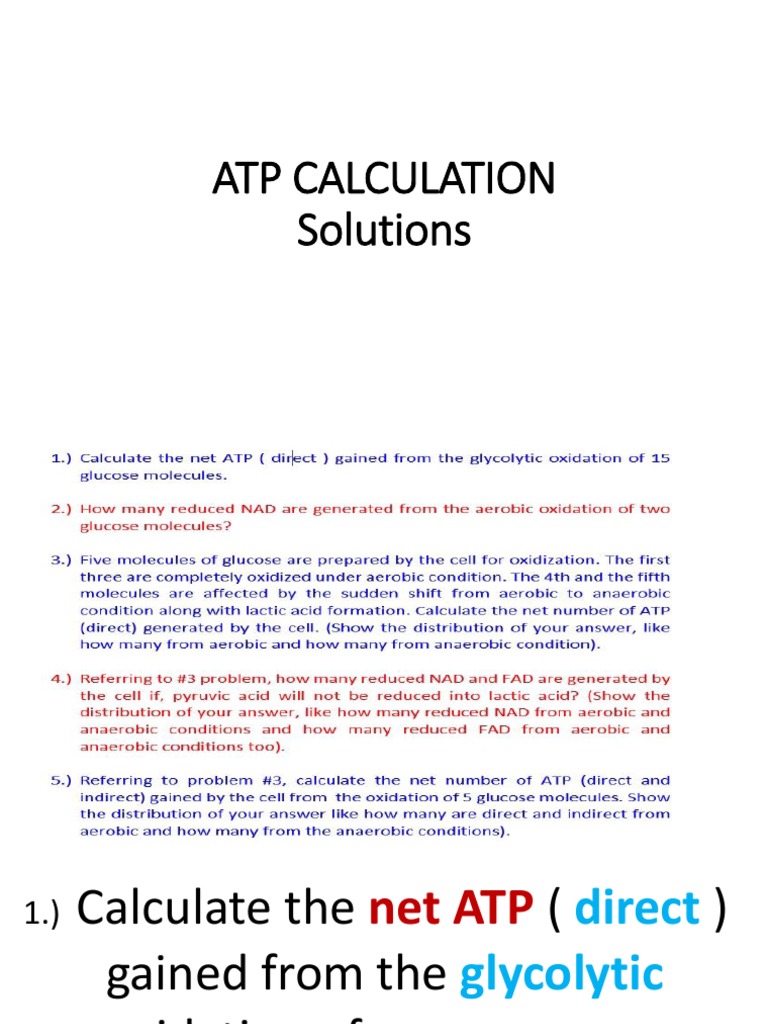 ATP Calculation SOLUTION | PDF | Cellular Respiration | Adenosine Triphosphate