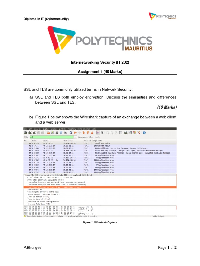 Internetworking Security (IT202) Assignment 2 | PDF