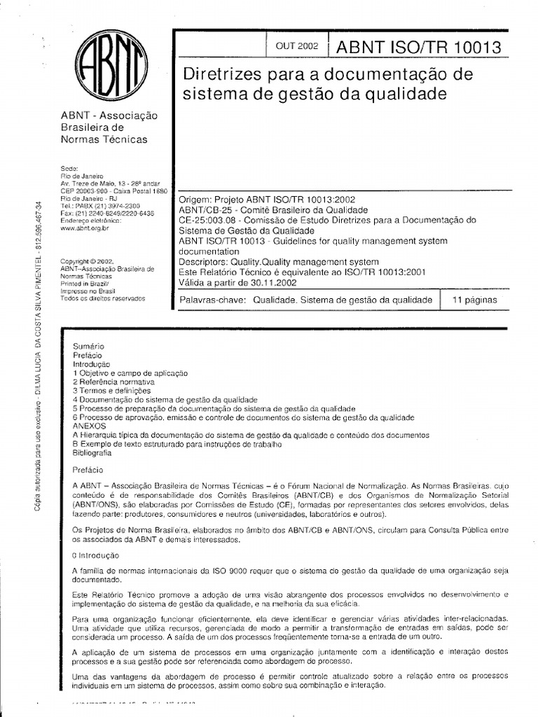 Abnt Iso TR 10013 PDF | PDF