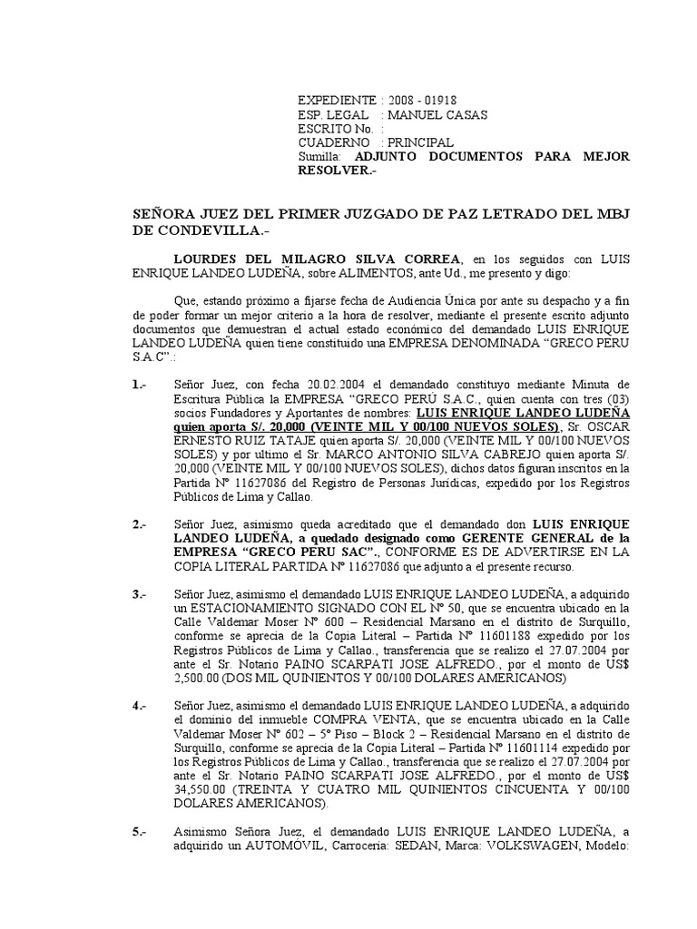 Adjunto Documentos | PDF