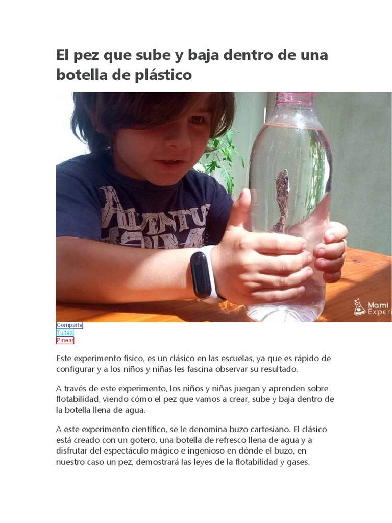 El Pez Que Sube y Baja Dentro de Una Botella de Plástico | PDF ...