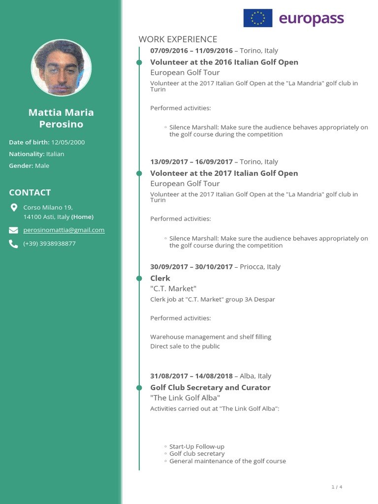 CV - Mattia Maria Perosino English Version | PDF | Test Of English As A ...