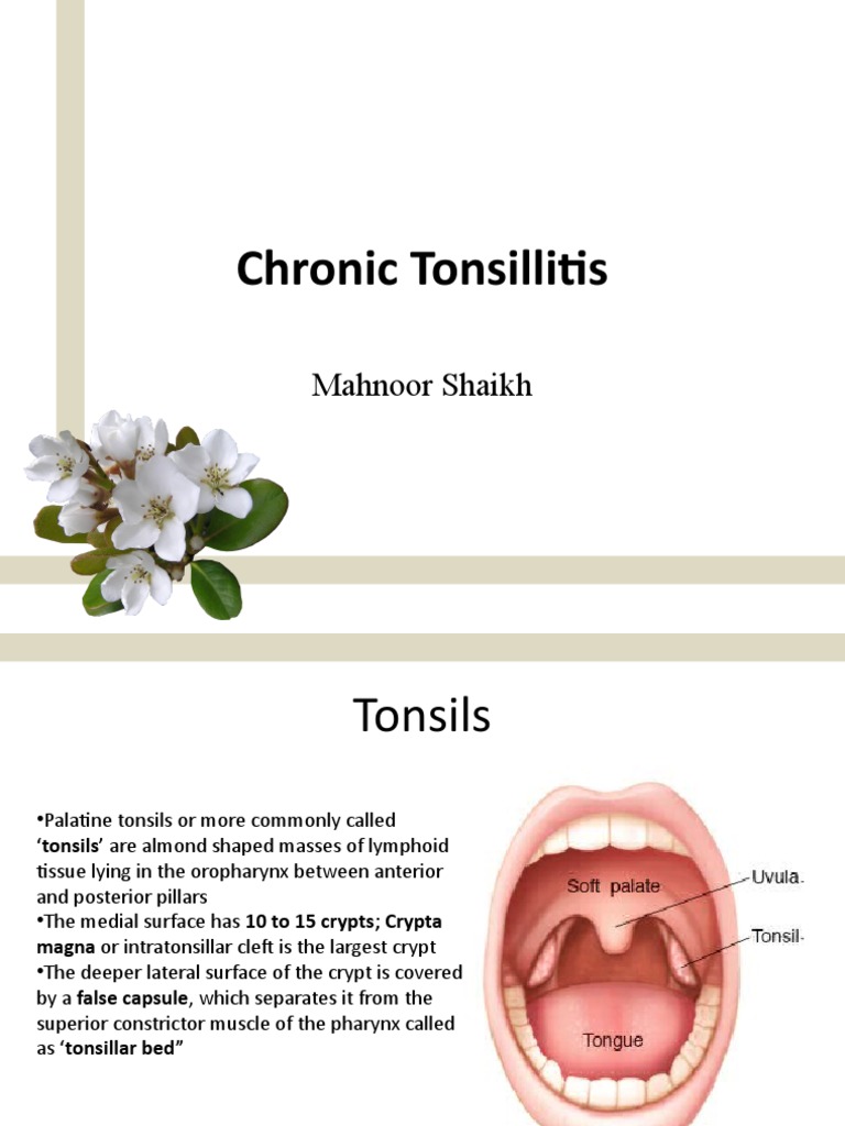 Tonsils | PDF