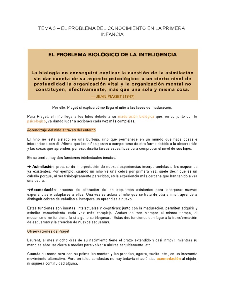 Tema 3 - El Problema Del Conocimiento en La Primera Infancia | PDF | Aprendizaje | Conocimiento