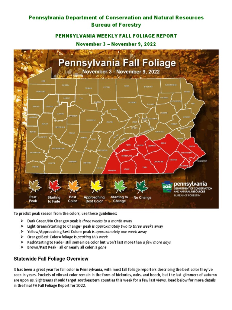 DCNR Week 6 Fall Foliage Report 2022 | PDF | Plants | Botany