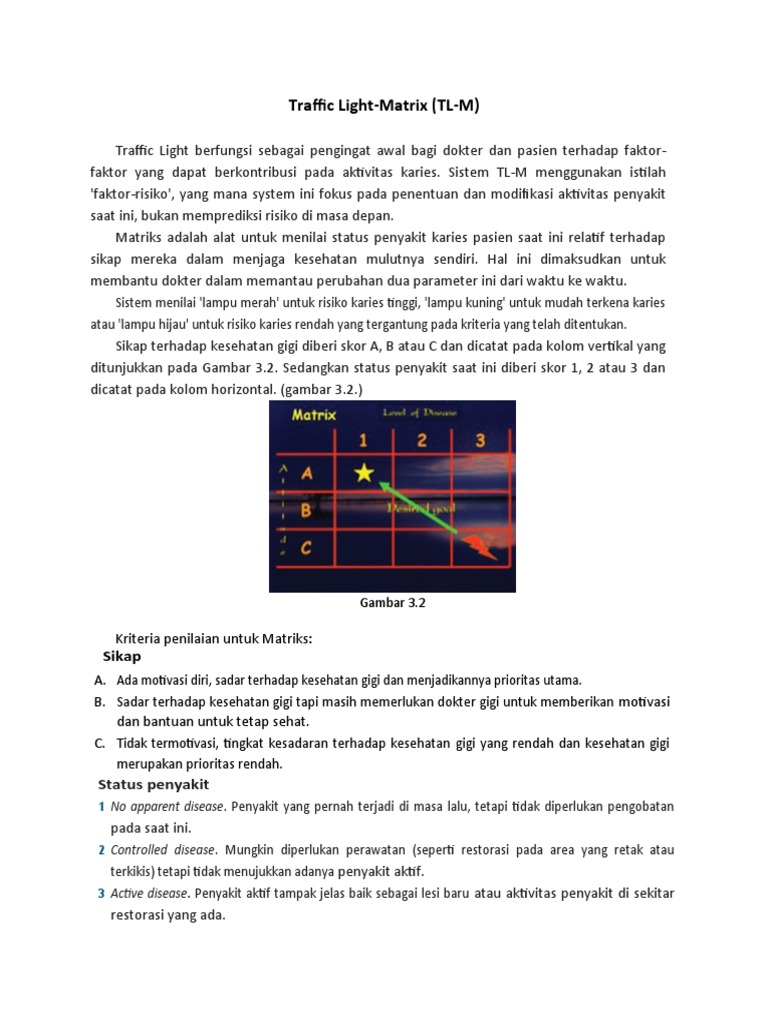 Traffic Light Matrix | PDF