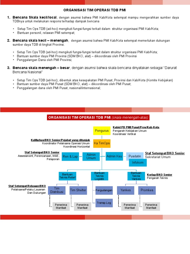3.2 - Organisasi TimOps TDB | PDF
