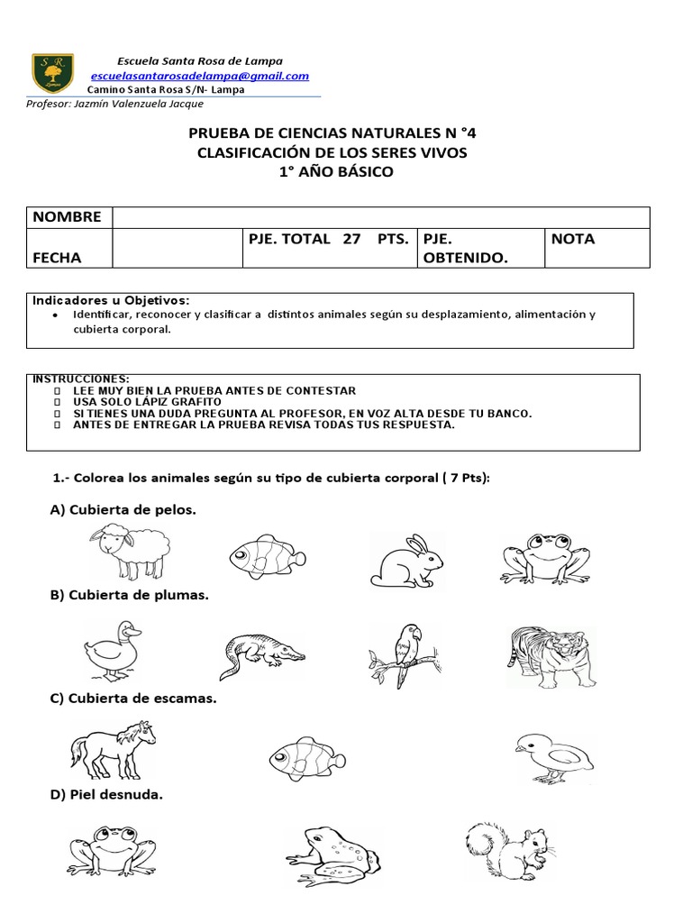 Prueba #4 Clasificacion de Los Animales | PDF | Organismos