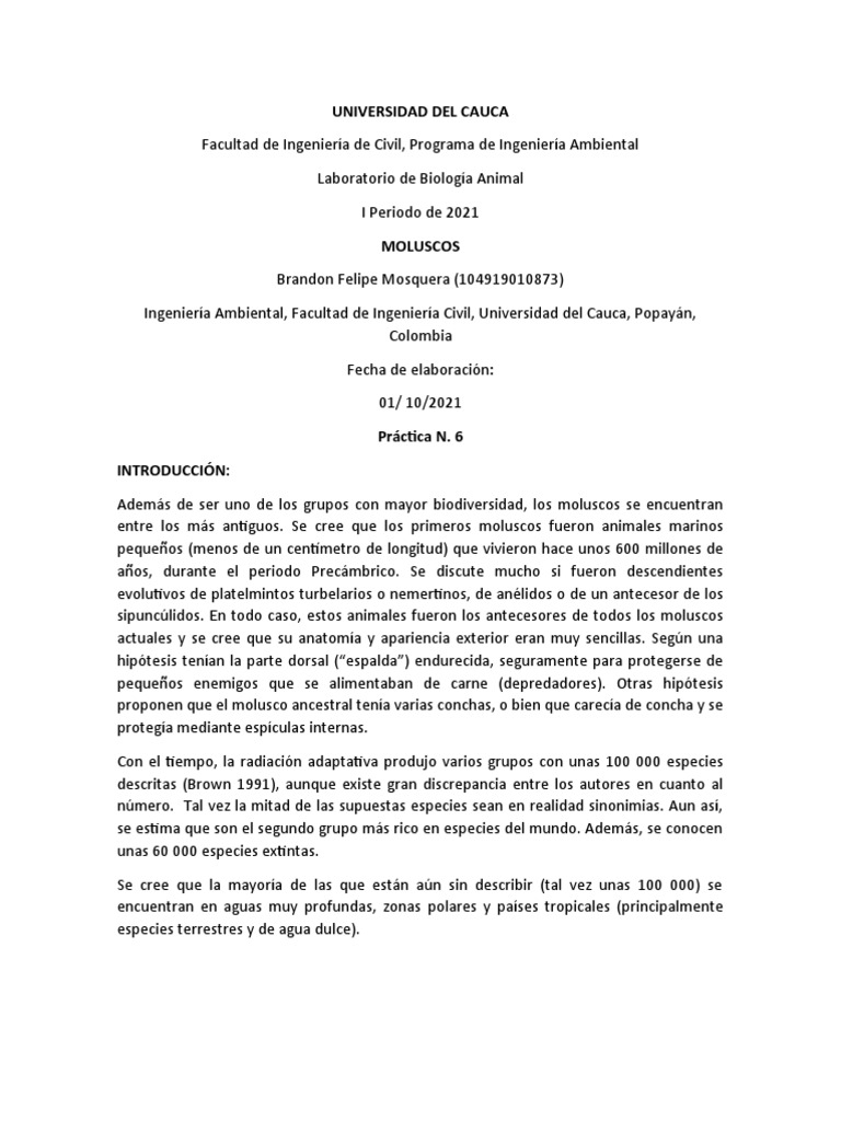 Importancia de los Moluscos en Ecosistemas | PDF | Organismos | Taxa
