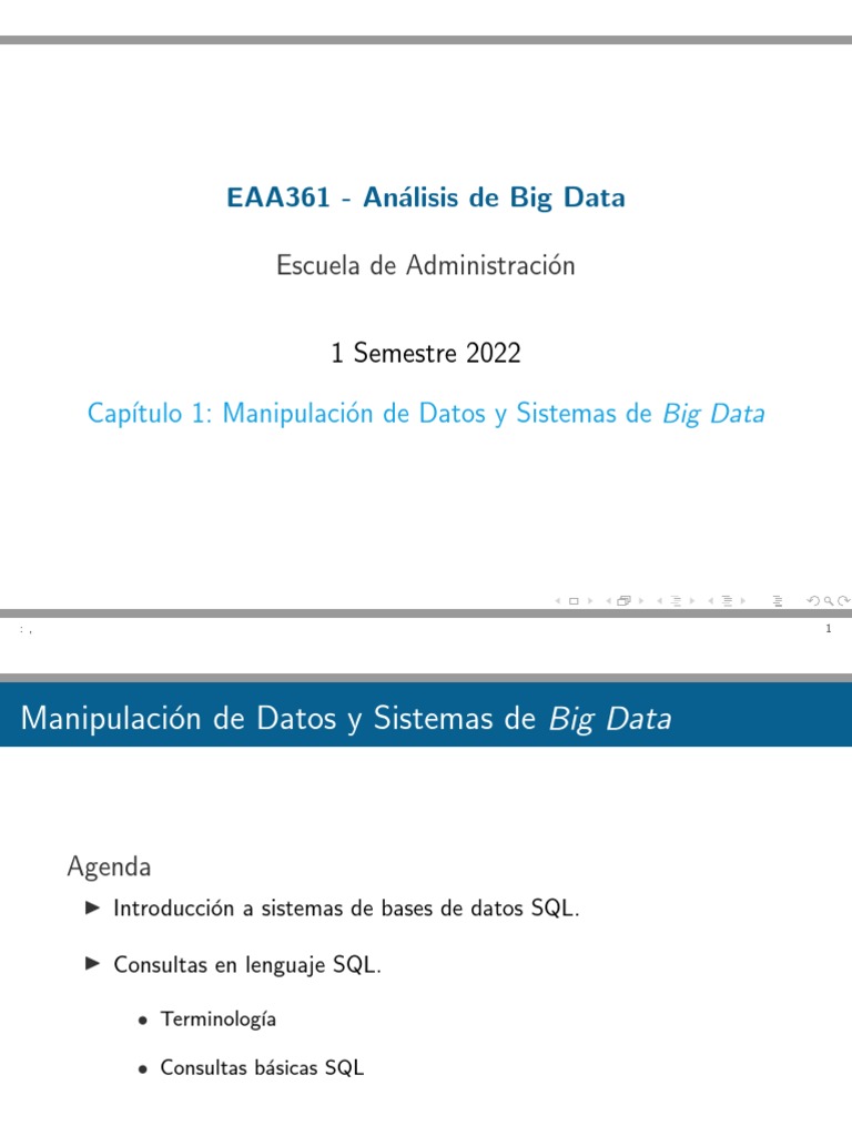 Capítulo 1 Sistemas de Gestión de Base de Datos y SQL (Parte 1) | PDF | SQL | Bases de datos