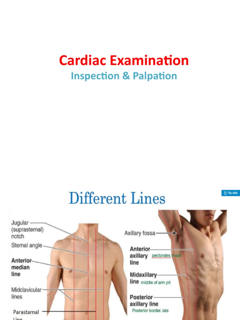 Cardiac Inspection and Palpation Cardiology | PDF | Heart | Thorax ...