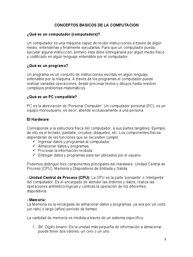 Conceptos Basicos de La Computacion | PDF | Hardware de la computadora | Almacenamiento de datos ...