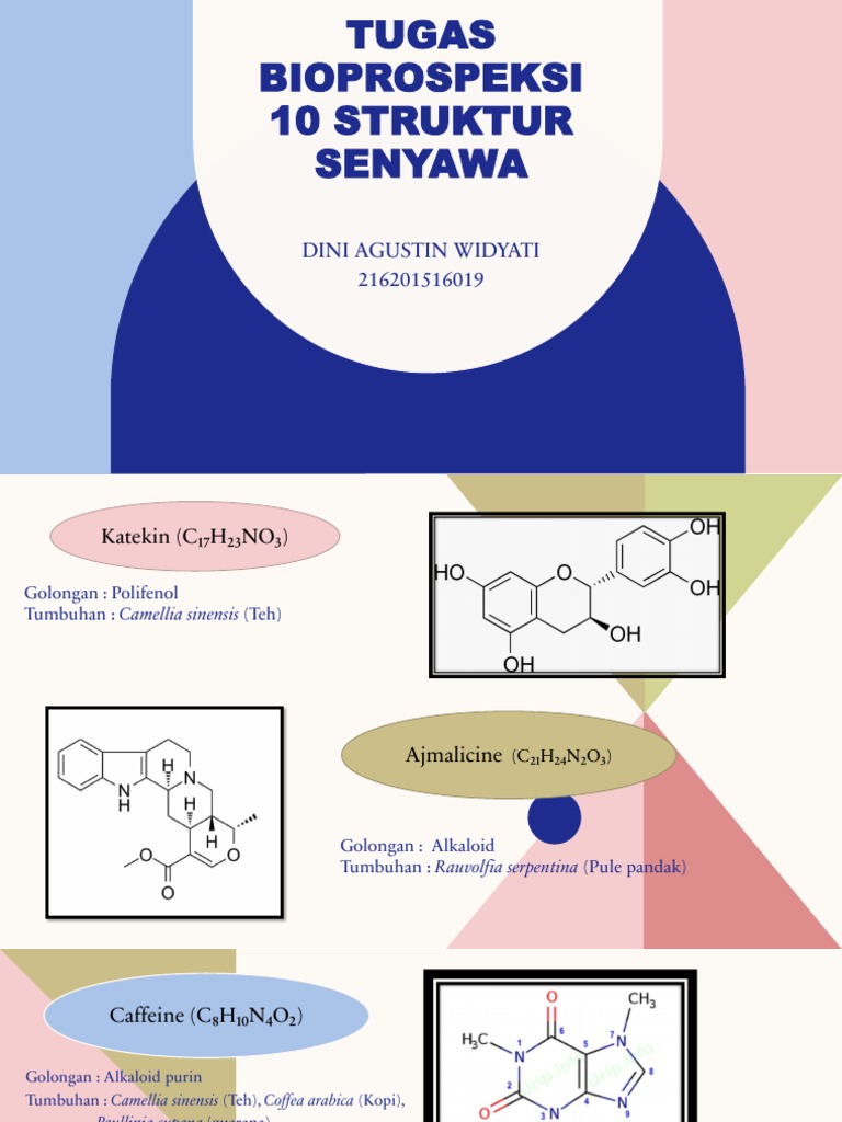 Dini Agustin W - 216201516019 - Tugas Bioprospeksi Struktur Senyawa | PDF