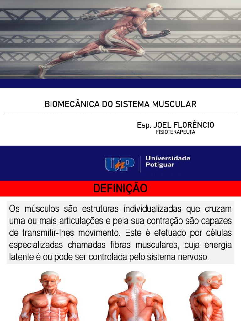 Biomecanica Do Sistema Muscular | PDF | Músculo esquelético | Tecido macio