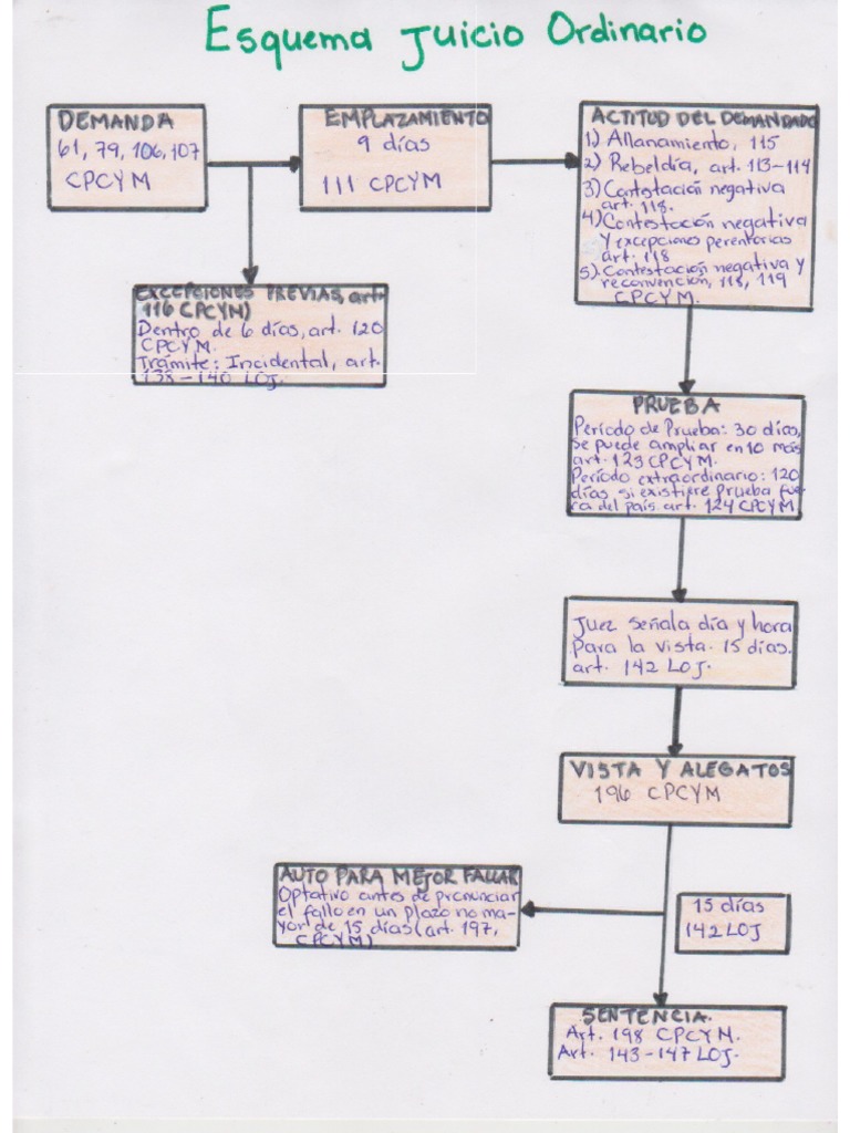 Esquema de Juicio Ordinario | PDF