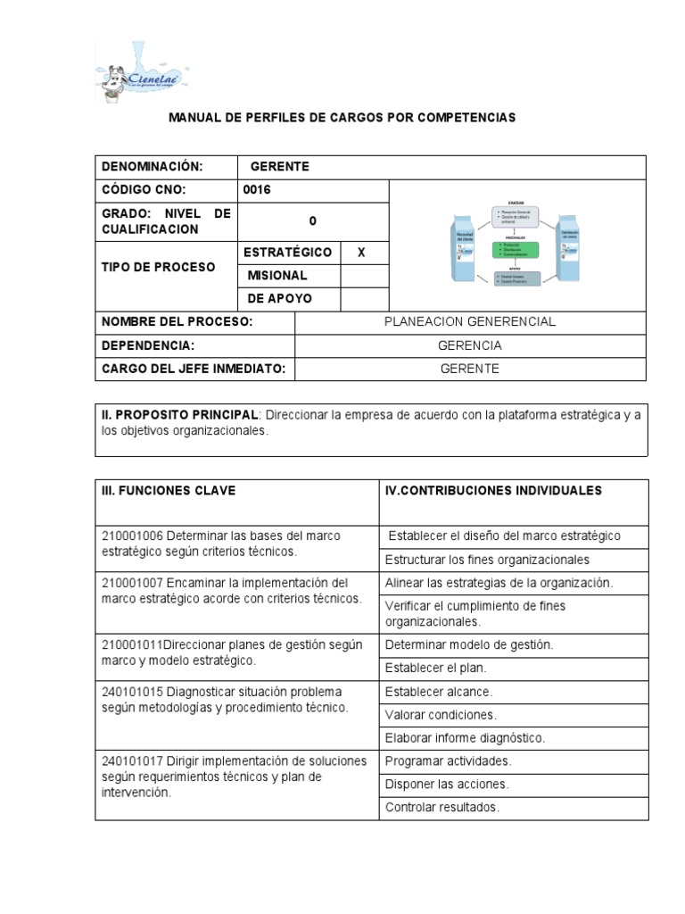 Manual de Perfiles de Cargos Por Competencias-1 | PDF | Planificación | Marketing