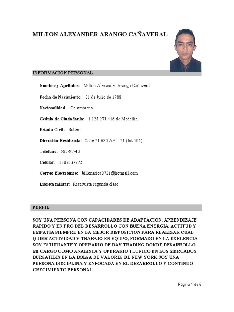 Hoja de Vida Alex Reloaded | PDF