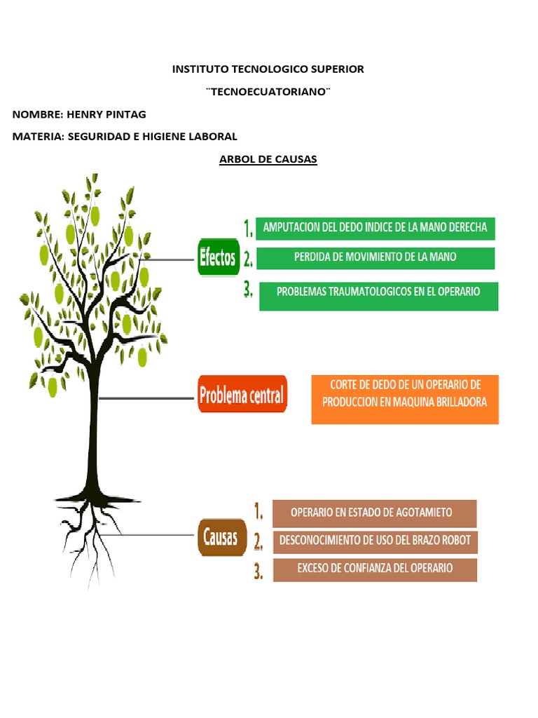 Arbol de Causas y Efectos | PDF