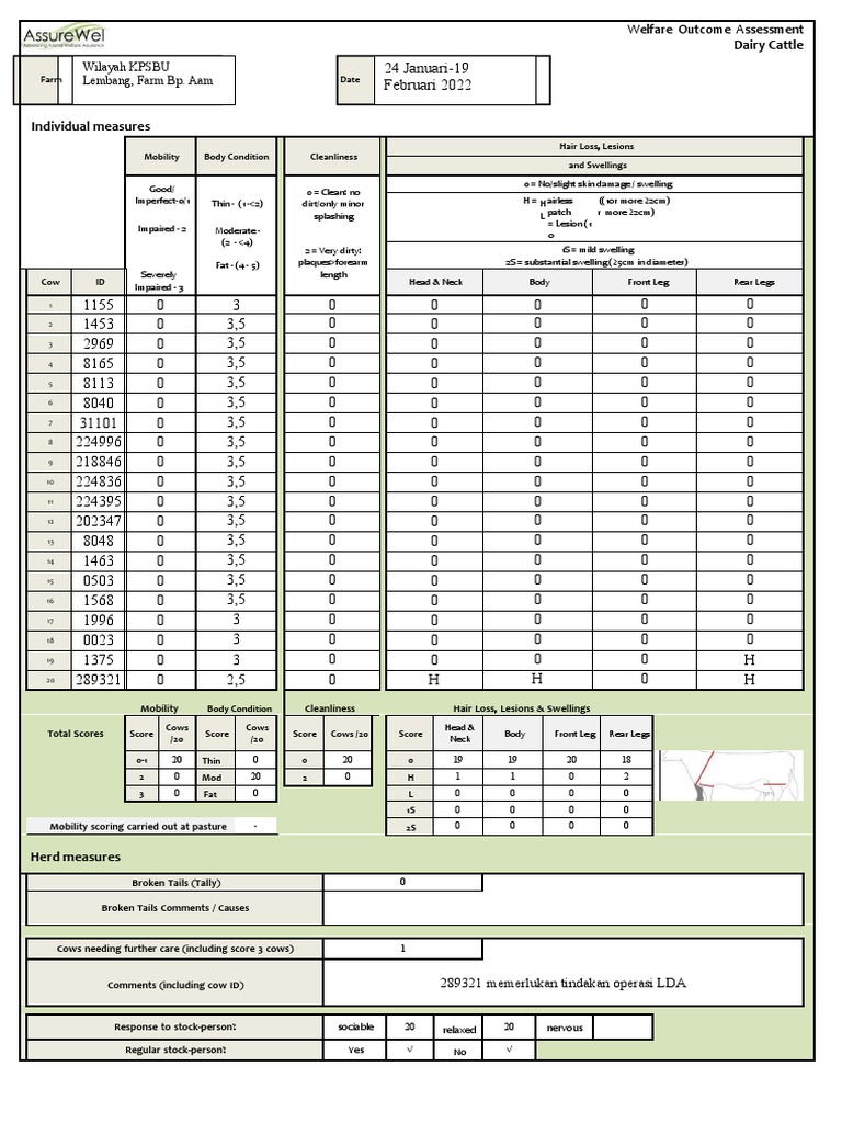 AssureWel Dairy Scoresheet - Generic | Download Free PDF | Calf | Cattle
