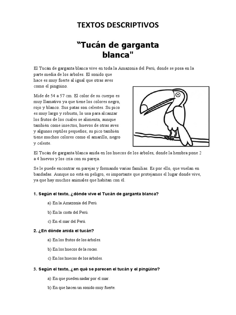 Textos Descriptivos Primaria Comprensión Lectora MInt | PDF | Osos | Aves