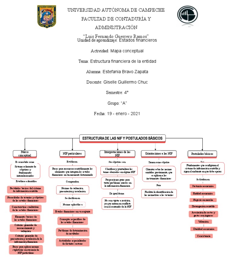 Estructura Financiera de La Entidad | PDF | Estado financiero | Contabilidad