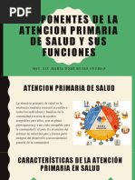 Mapa Conceptual - (APS) | PDF | Cuidado de la salud