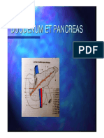 Duodénum | PDF | Pancréas | Anatomie