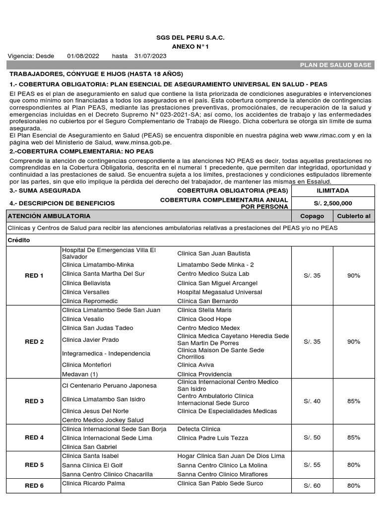 188 - E0001080 - T+D ADIC 1 - SGS DEL PERU S.A.C. - Renovacion - 01.08.2022 | Descargar gratis ...