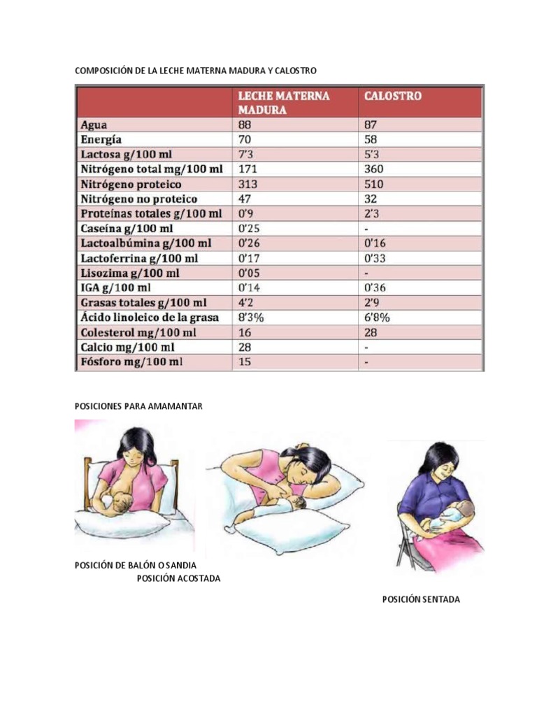 ComposiciÓn de La Leche Materna Madura y Calostro y Posiciones p ... ComposiciÓn de La Leche Materna Madura y Calostro y Posiciones p ...